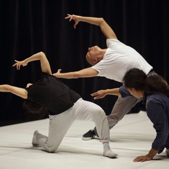 Flowcus - Compagnie de danse