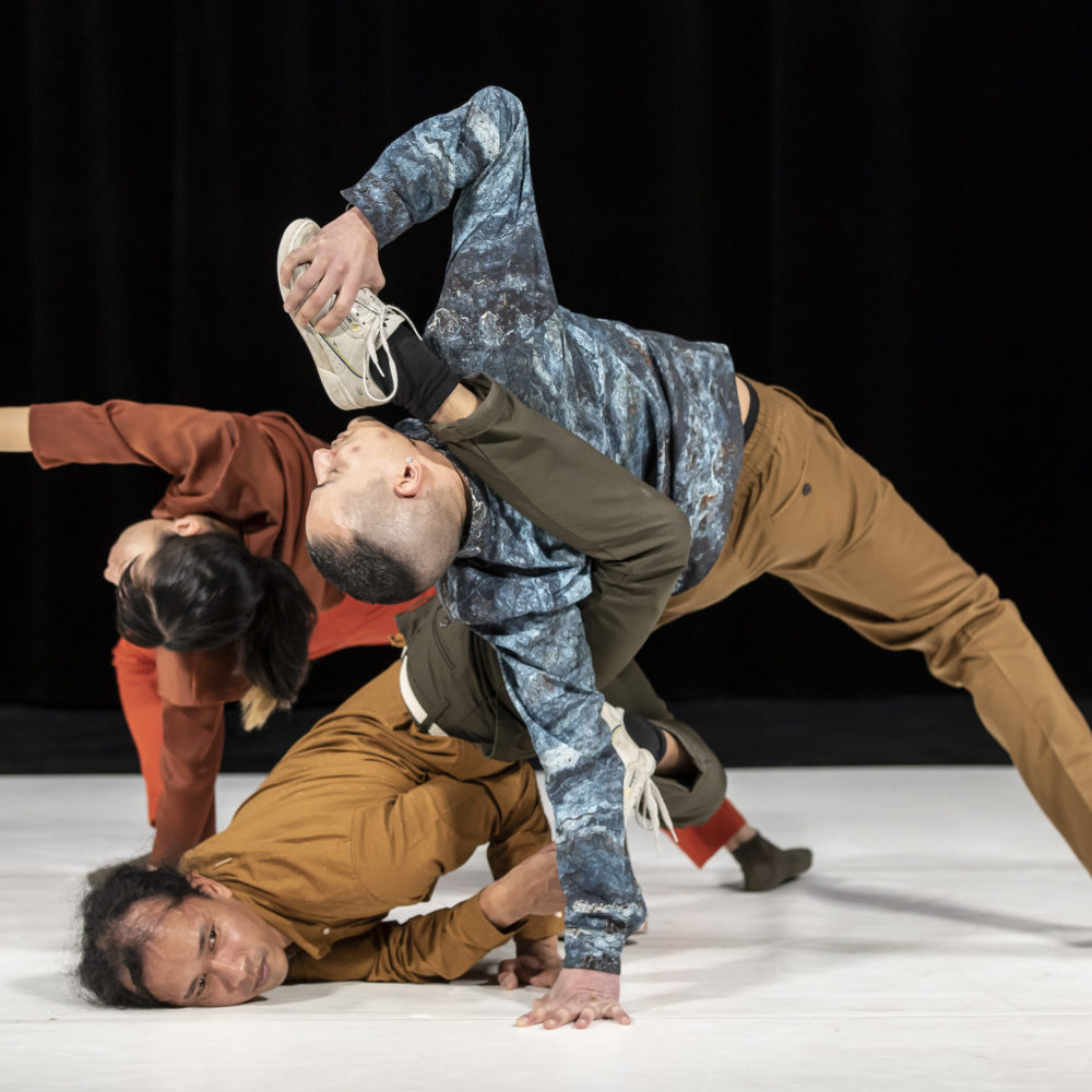 Flowcus - Compagnie de danse